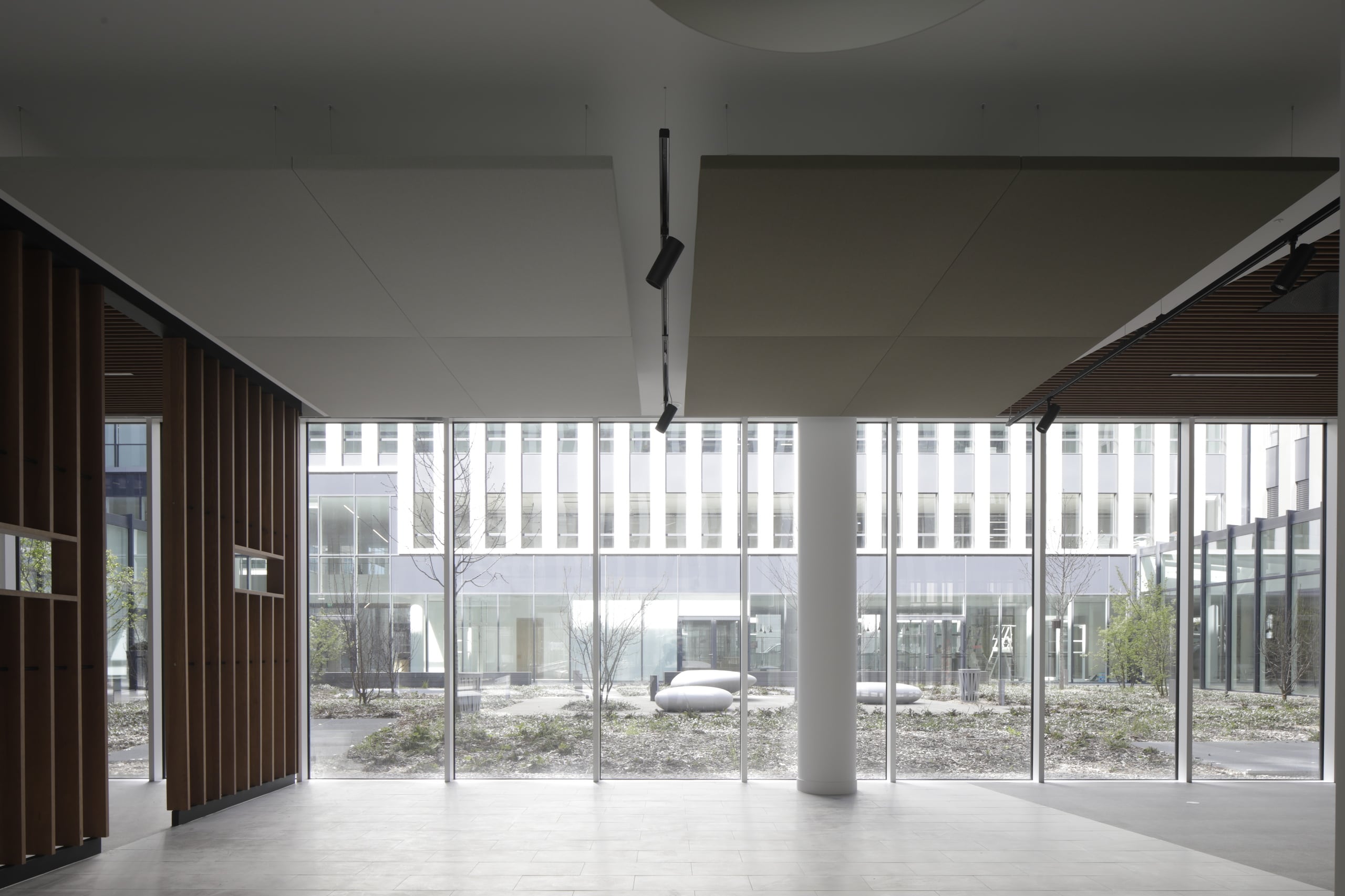 Acoustic rhythm - Texaa.